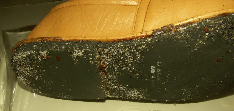 How to Check Shoes for Bed Bugs - 8 Steps to Follow (2026)